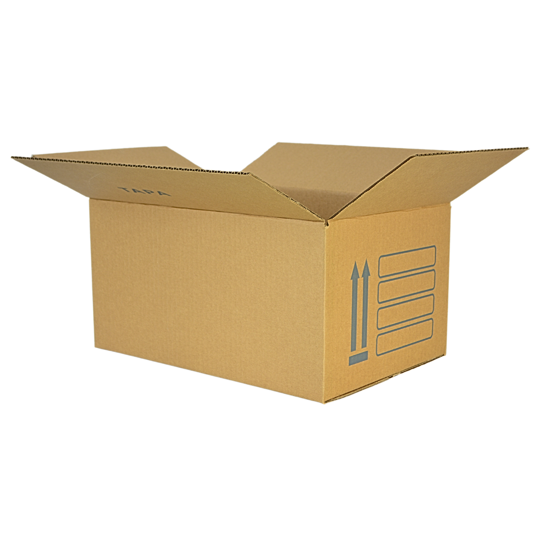 10 Cajas Regular CRR-07 ((38x25x19 cms) – Empakado