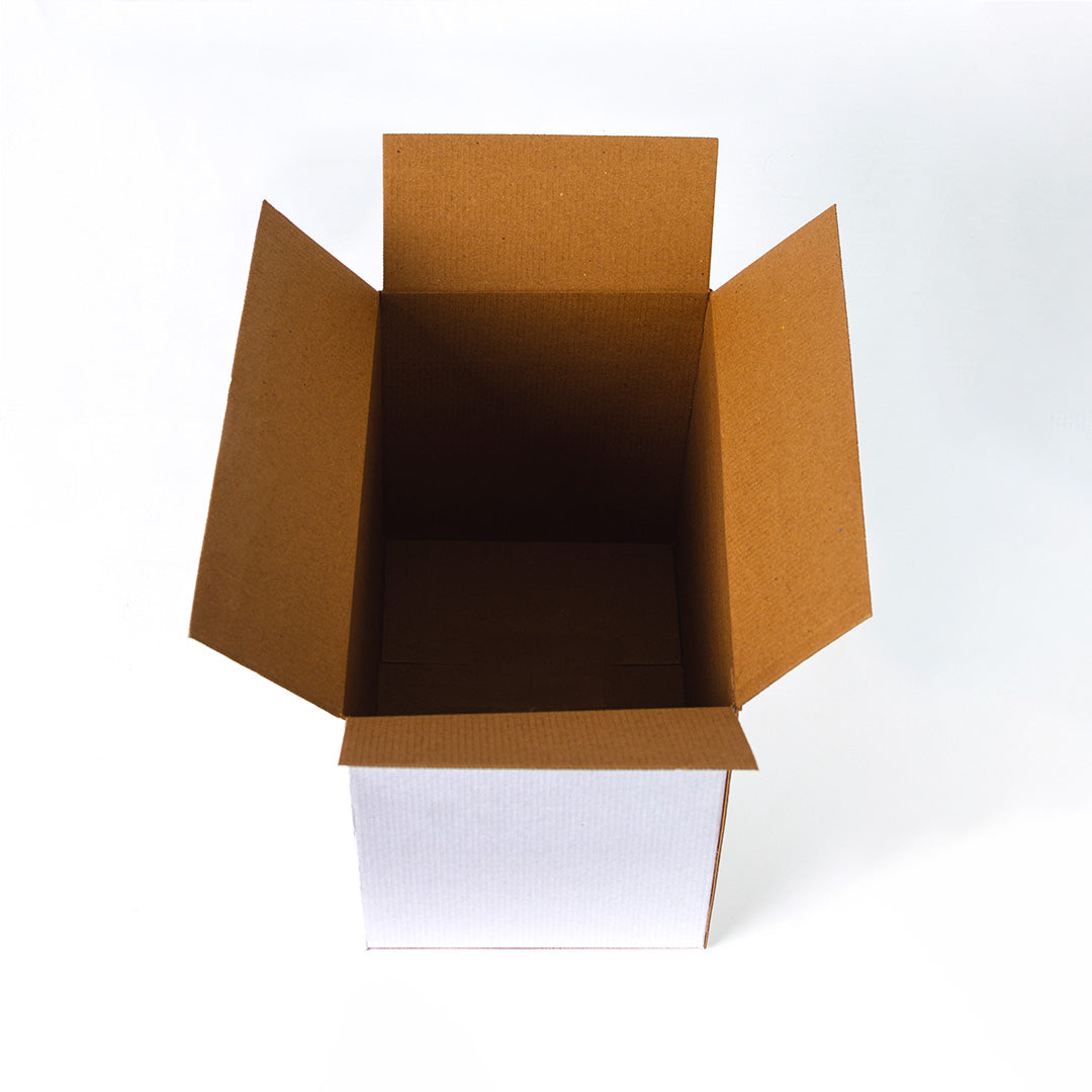 10 Cajas Regular Blanca 30x20x25 – Empakado